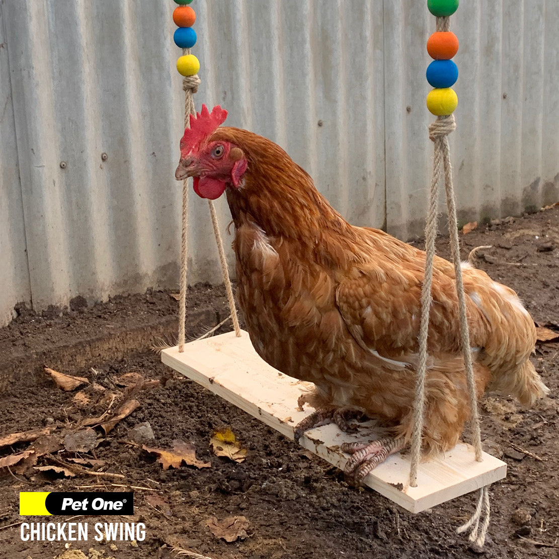 Poultry Accessories & Nesting – Pet Deli - Pet & Aquarium Warehouse