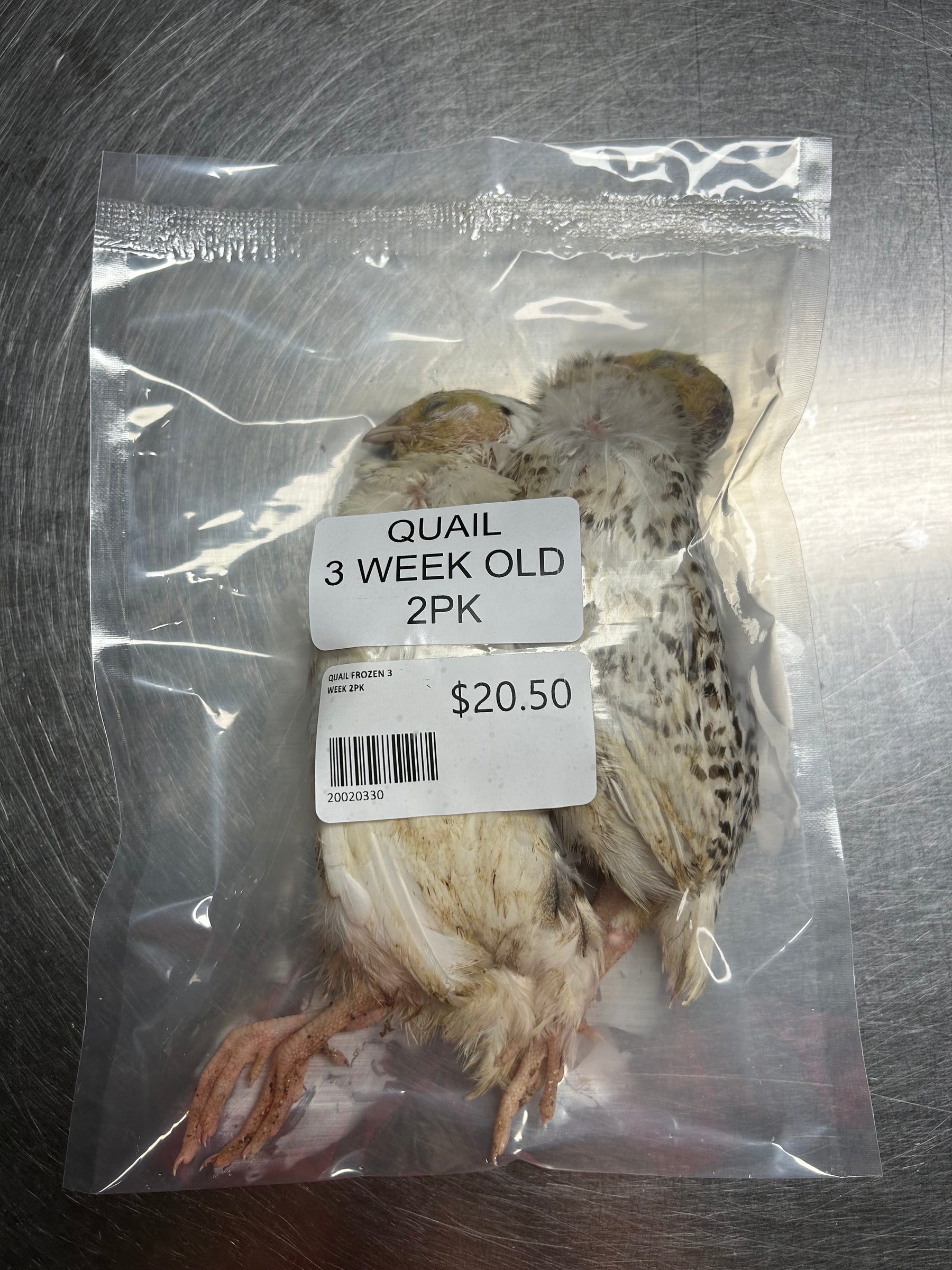 Quail Frozen 3 Week 2pk – Pet Deli - Pet & Aquarium Warehouse