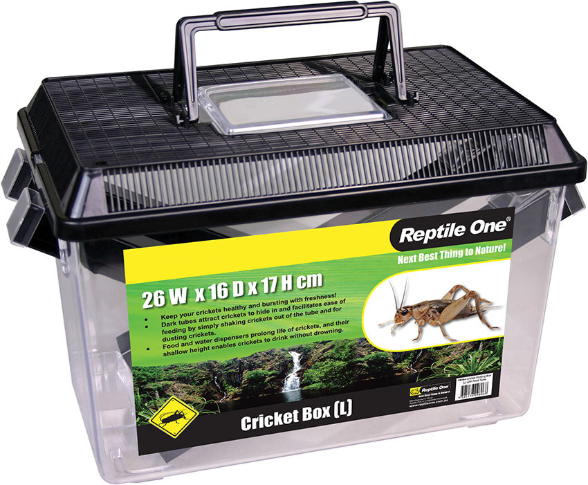 Reptile One Cricket Hold Box Large – Pet Deli - Pet & Aquarium Warehouse