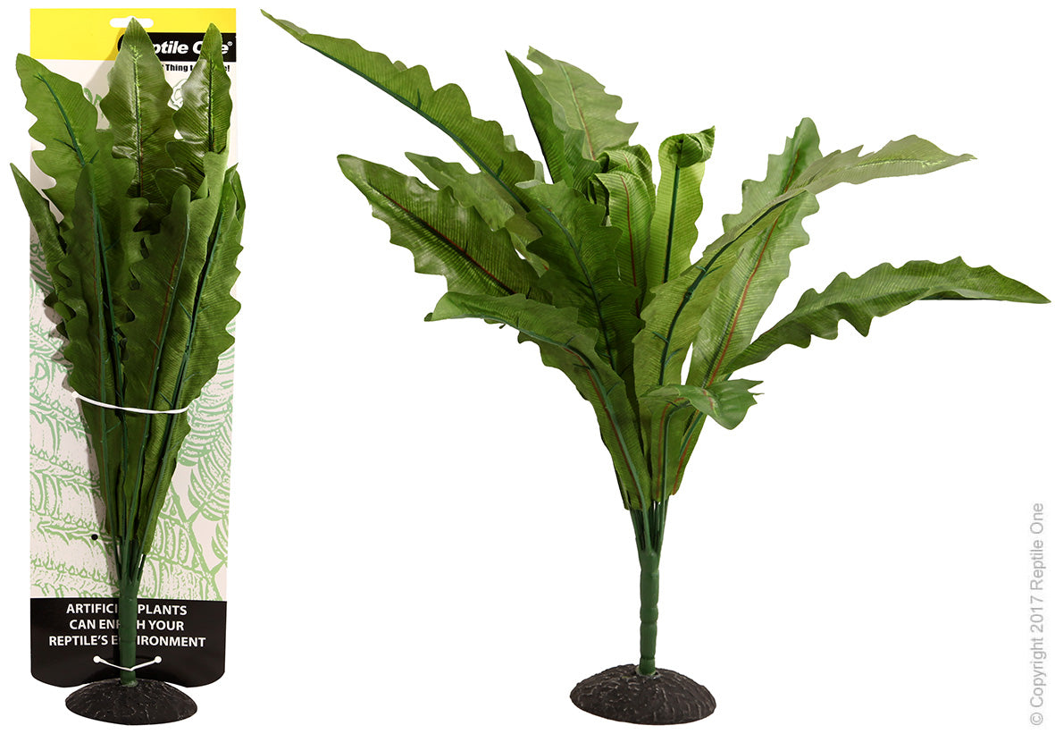 Reptile One Plant Realistic Nidus Fern 50cm – Pet Deli - Pet & Aquarium ...