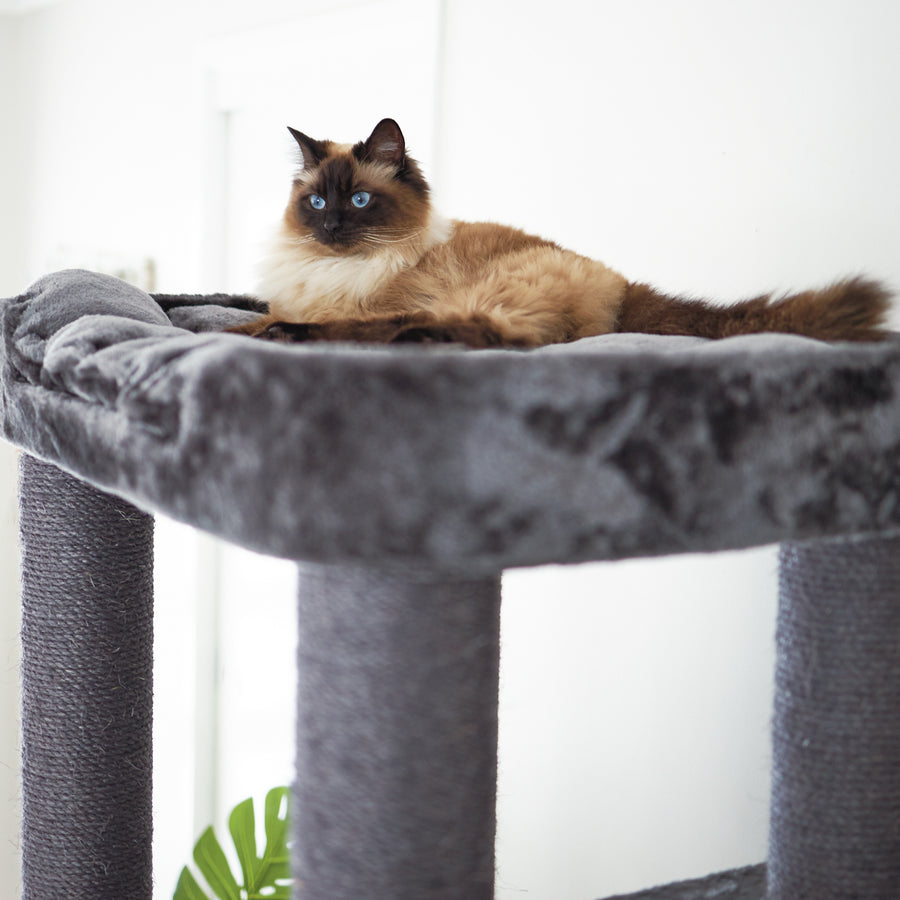 Kazoo Cat Scratch Pole Kitty Climb Playground Grey Plush & Grey Sisal ...